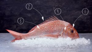 How to tell if a fish is fresh | The Neff Kitchen